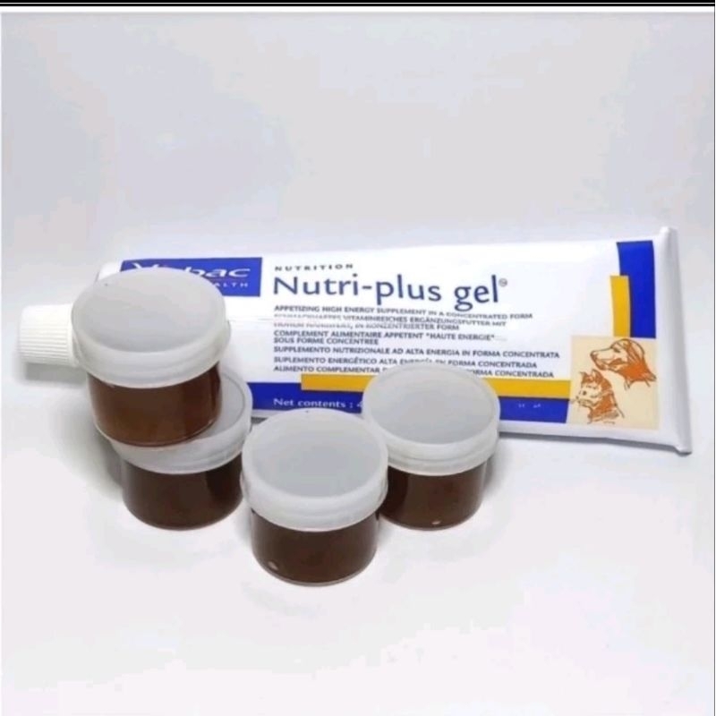 Jual Nutriplus Gel Repack 10 Gr / Nutri Plus Gel Repack 10Gr | Shopee ...