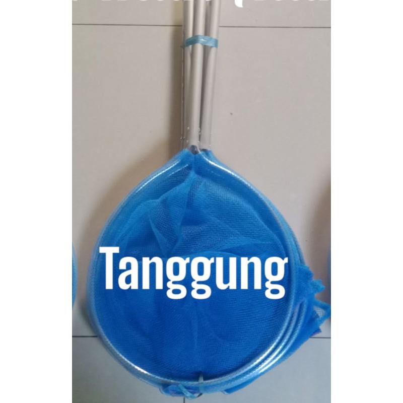 Jual Serok Ikan Alumanium Sedang | Shopee Indonesia