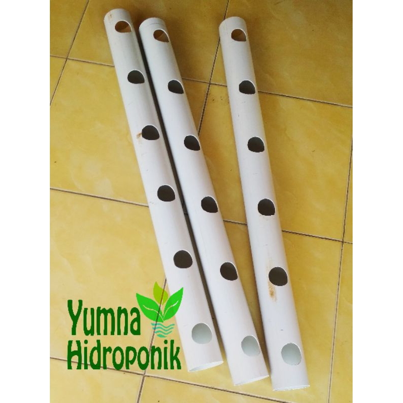 Jual Pipa Hidroponik 2 1/2 inch 1meter - Pipa pvc 2,5 dim | Shopee ...