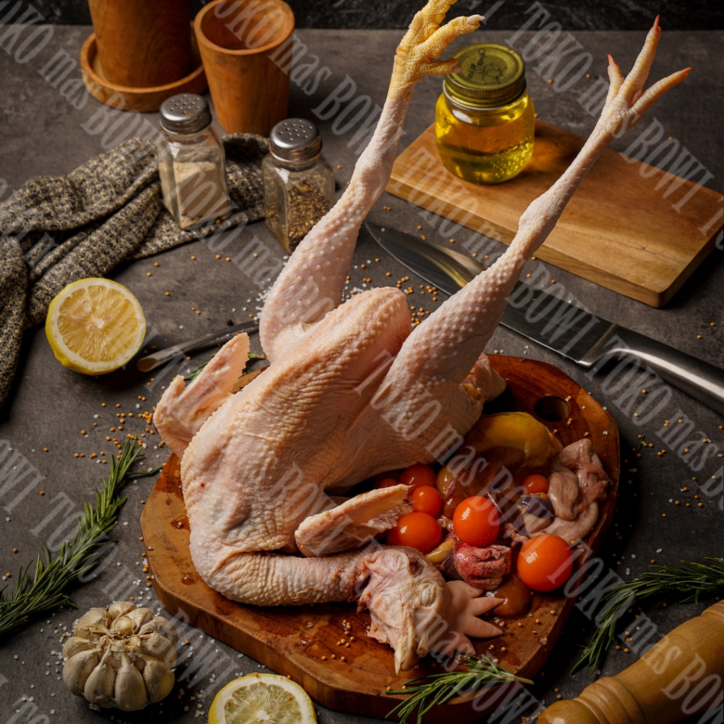 Jual Daging Ayam Merah / Ayam Petelur / Ayam Layer Merah (Afkir) - 1 ...