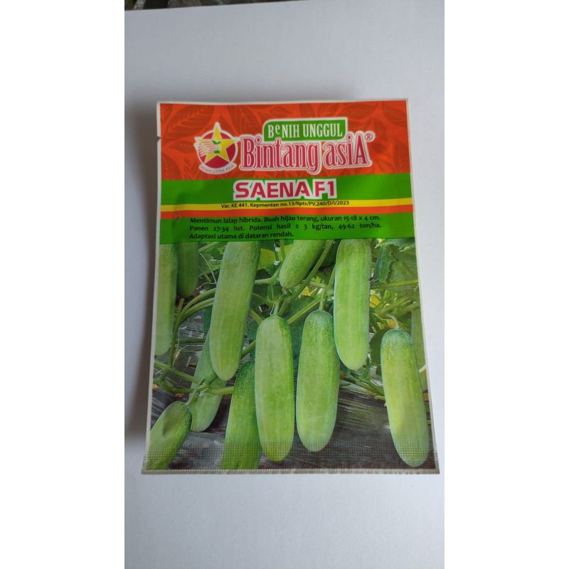 Jual benih timun saena isi 20 gram Bintang Asia exp 04-06-2026(terbaru ...