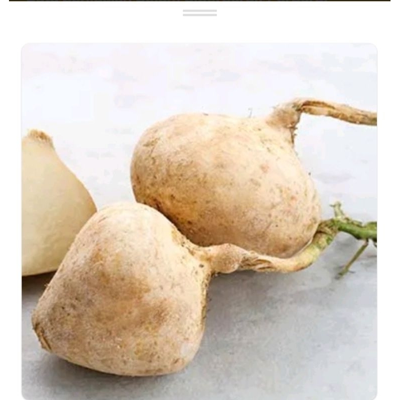 Jual Bengkuang/KG | Shopee Indonesia