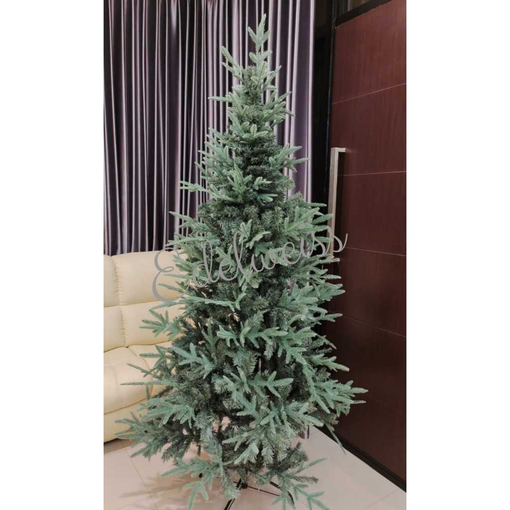 Jual POHON NATAL CEMARA COLORADO 7F (2.1 meter) Premium / Christmas ...