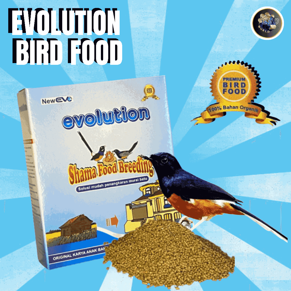 Jual VOER BURUNG MURAI I VOER EVO BREEDING I VOER HARIAN TERNAK MURAI I ...