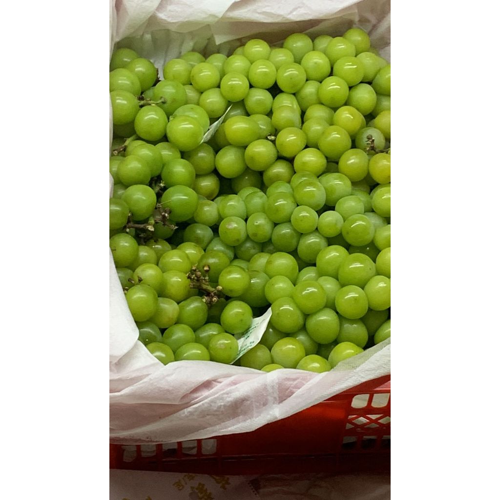 Jual Anggur Shine Muscat 1 Keranjang/Box | Shopee Indonesia