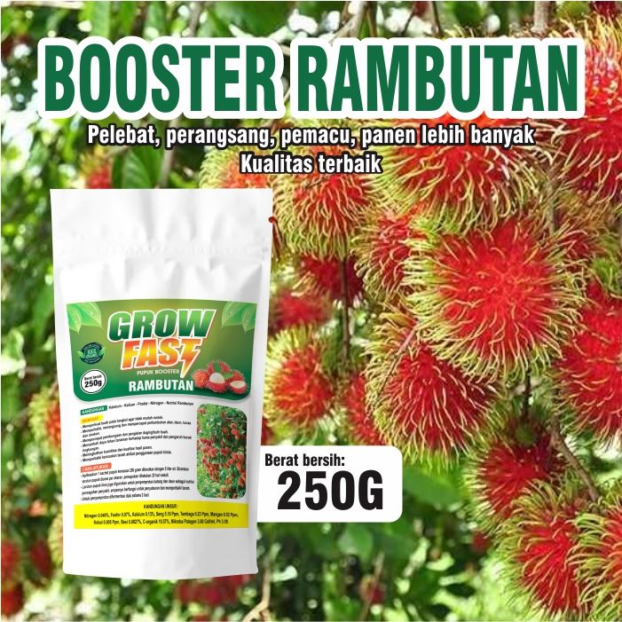 Jual Pupuk Booster Rambutan (250gr) pupuk organik pelebat rambutan pupuk organik perangsang ...