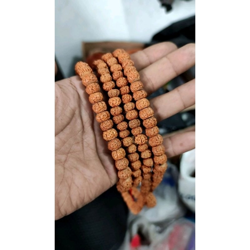 Jual 1000 butir Jenitri rudraksha 8 mm | Shopee Indonesia