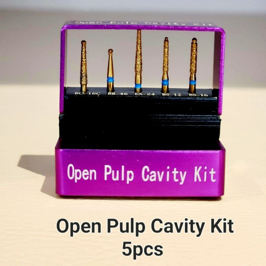 Jual Endo Access bur dental set / Endo-Z Diamond Burs with Holder ...