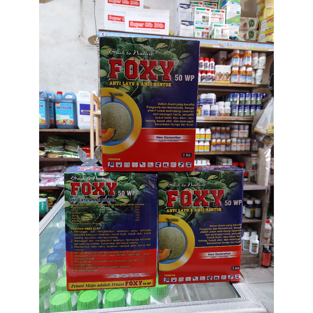 Jual FOXY 50 WP ( anti layu & anti rontok ) 1 KG | Shopee Indonesia