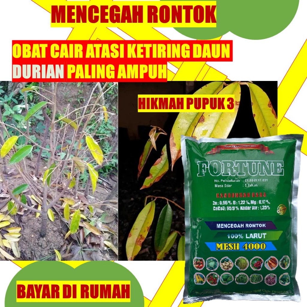 Jual OBAT LAYU RONTOK DAUN TANAMAN DURIAN DAUN KERITING PALING LARIS ...