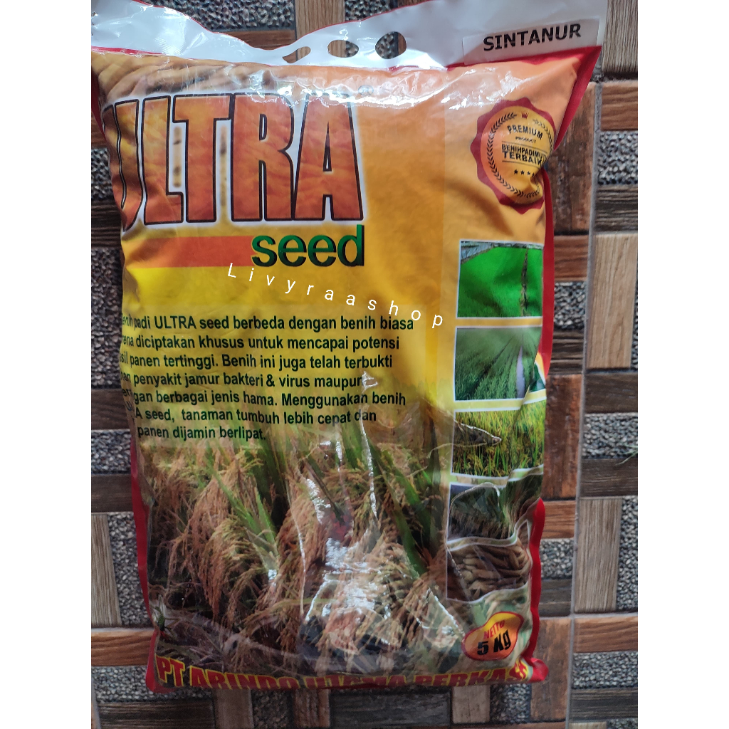Jual Benih Padi Premium SINTANUR ULTRA SEED Kemasan 5Kg | Shopee Indonesia