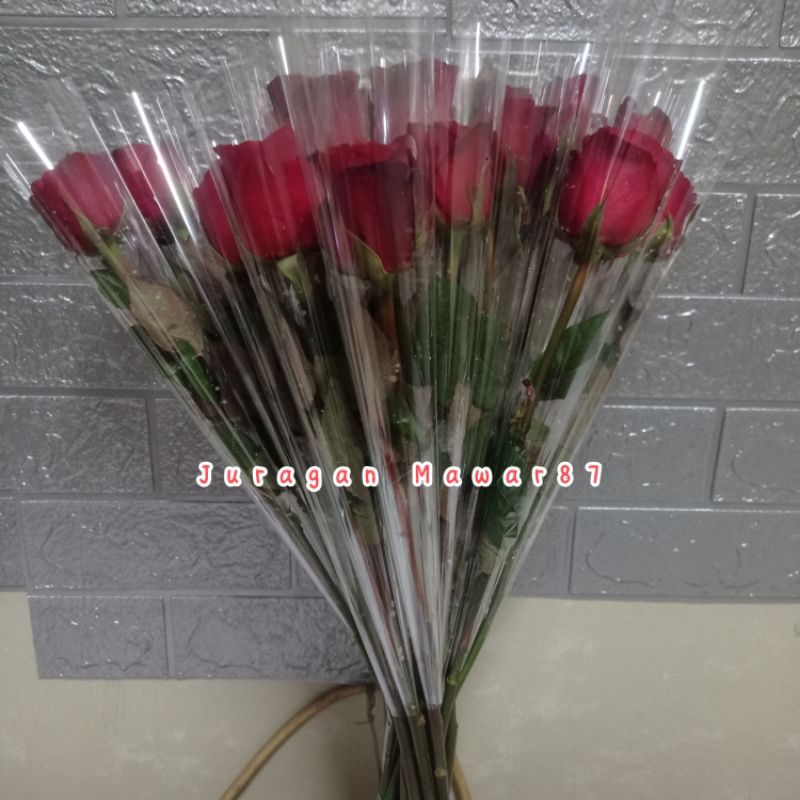 Jual Bunga Mawar Asli Fresh 1 Tangkai Bungkus Plastik Valentine Day ...