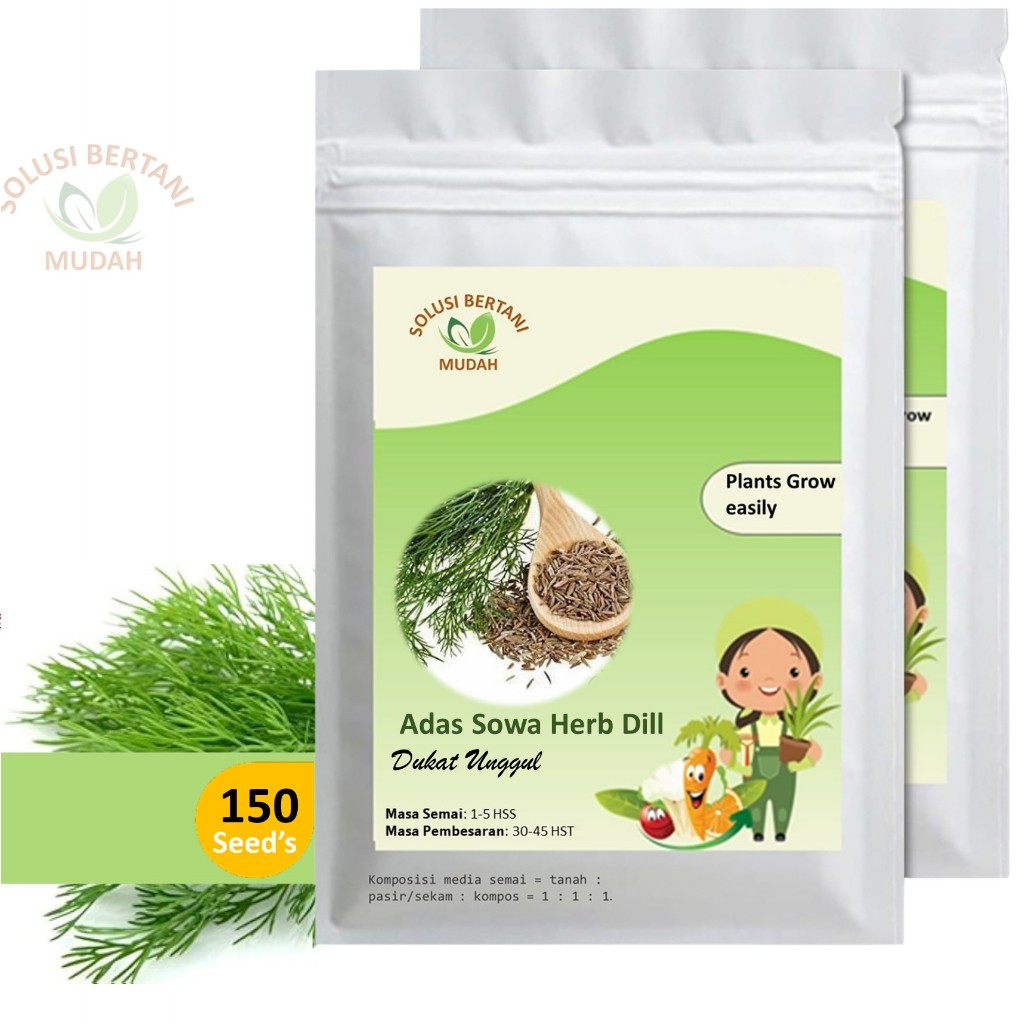 Jual 150 Bibit Daun Adas Sowa Sayuran Herb Dill Dukat Unggul | Shopee Indonesia