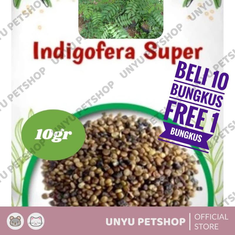 Jual Benih biji indigofera benih bibit pakan ternak 10 gram Recommended ...