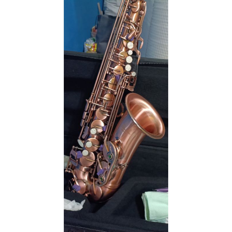 Jual Saxophone alto warna tembaga type jas930 merk paladin seri terbaik ...