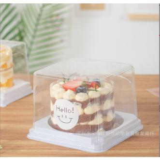 Jual 10pcs PREMIUM KOREAN tray mika kue tart kue potong slice cake box ...