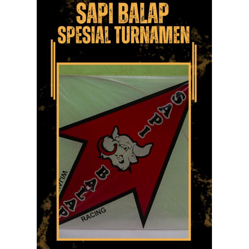 Jual LAYANGAN SAPI BALAP ORIGINAL | Shopee Indonesia