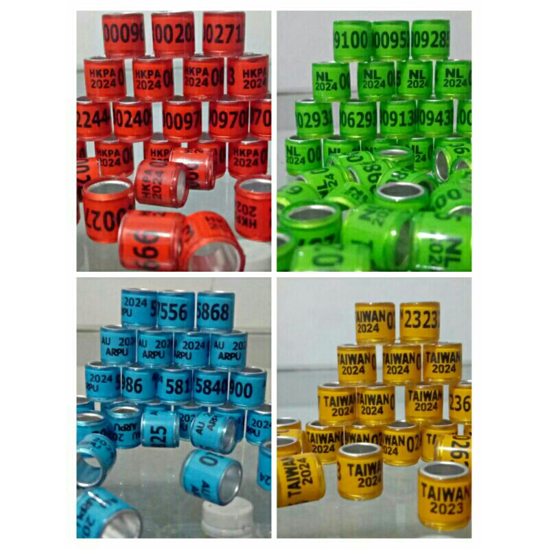 Jual RING MERPATI IMPORT 2024 MODEL KRISTAL (BISA DIPAKAI UNTUK SEGALA ...