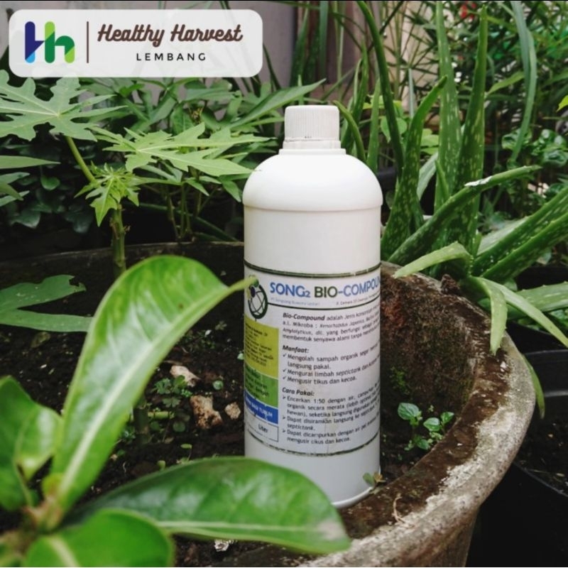 Jual MOL Songsong Bio Compound 1L | Shopee Indonesia