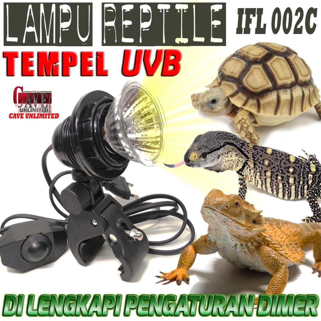 Jual IFL002C LAMPU FITTING JEPIT UVA UVB SPOT DIMER REPTILE AMPHIBI ...
