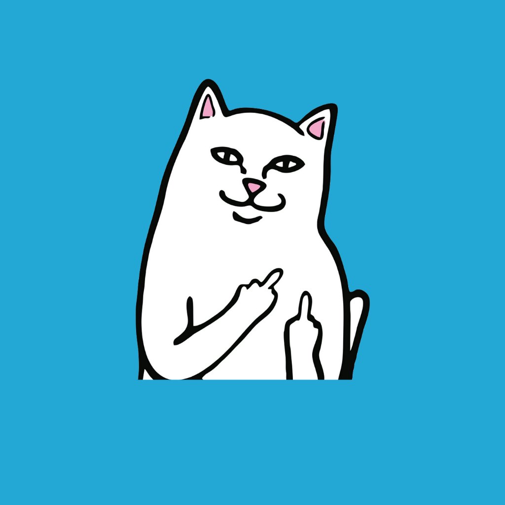 Jual STIKER RIP AND DIP KUCING CAT PUTIH | Shopee Indonesia