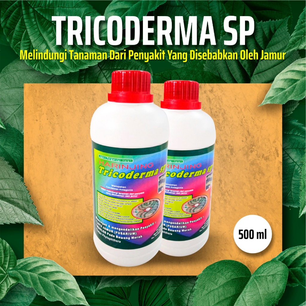 Jual PUPUK Hayati tricoderma untuk mengatasi busuk akar dan buah, Fungisida Hayati Trichoderma ...