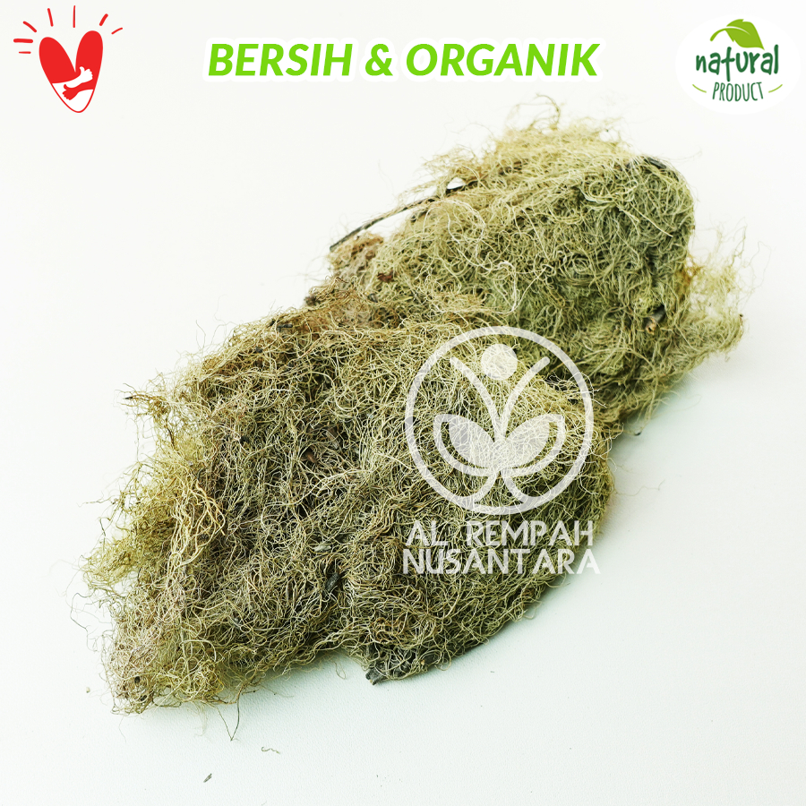 Jual Kayu Angin Kering Organik 500gr Asli Hutan | Shopee Indonesia