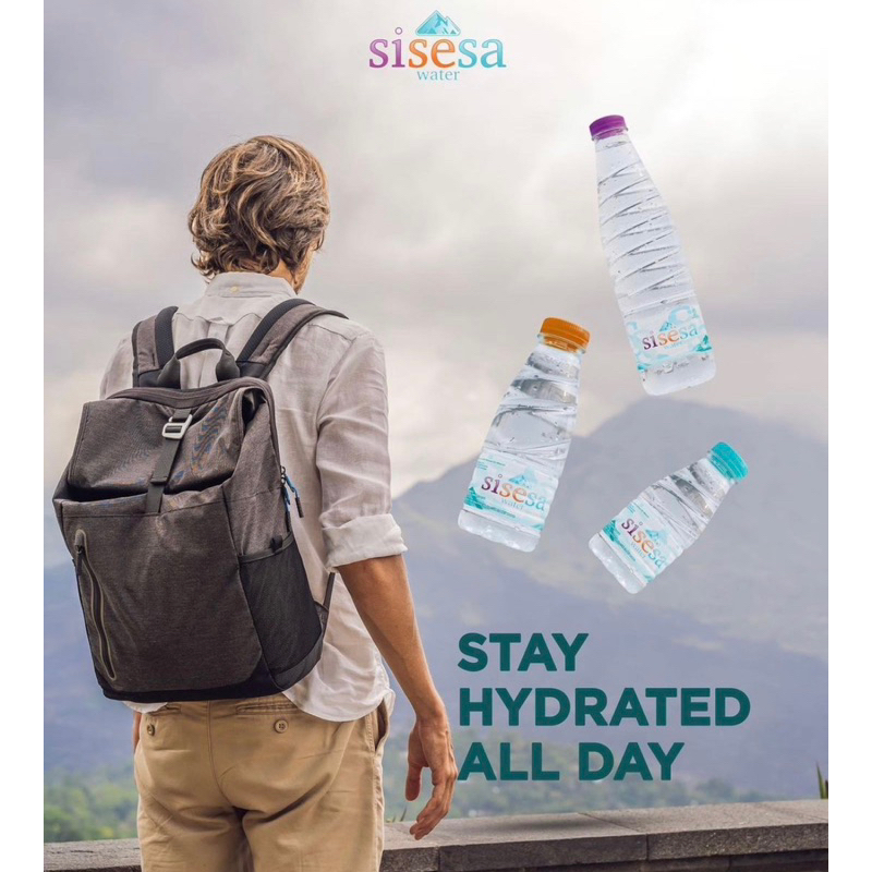 Jual Sisesa water per dus /200ml/330ml/600ml/SISESA | Shopee Indonesia