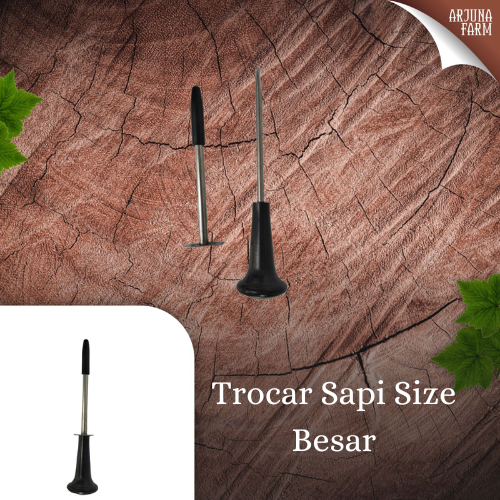 Jual Trocar Sapi Size Besar Alat Penghilang Kembung pada Sapi Pedet ...