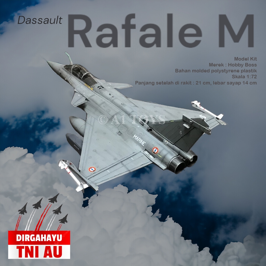 Jual Model Kit miniatur pesawat Dassault Rafale M Hobby Boss 21 cm 1:72 ...