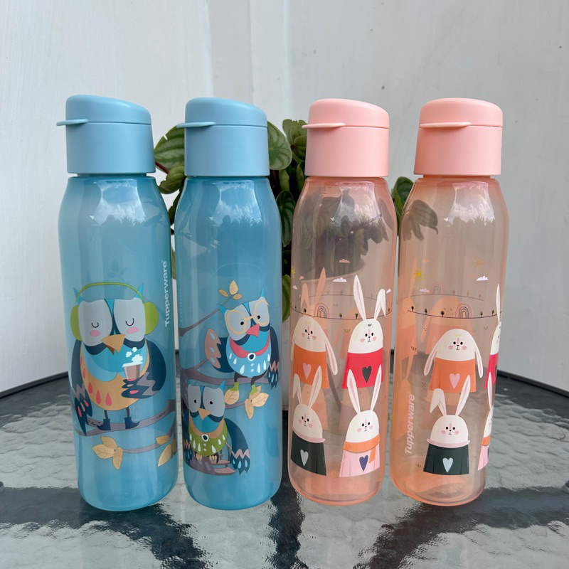 Jual botol tupperware eco Fancy 500ml | Shopee Indonesia