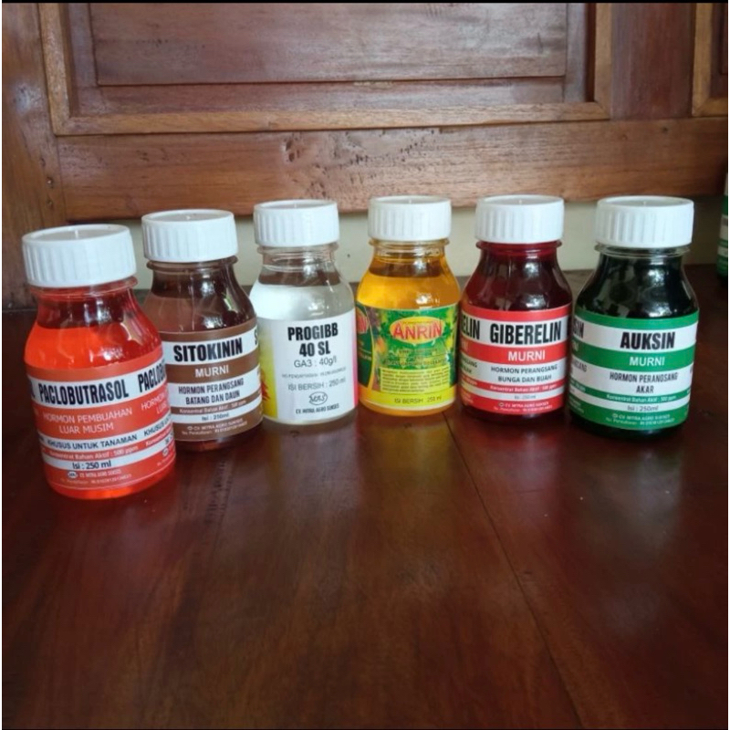 Jual ZPT 250ml Auksin Giberelin Sitokinin Anrin Pacloblutrazol Progibb ...