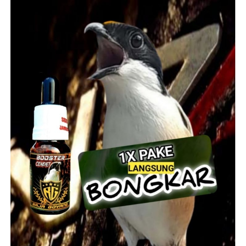 Jual BOOSTER CENDET RG,Vitamin burung Cendet ,vitamin penggacor burung ...