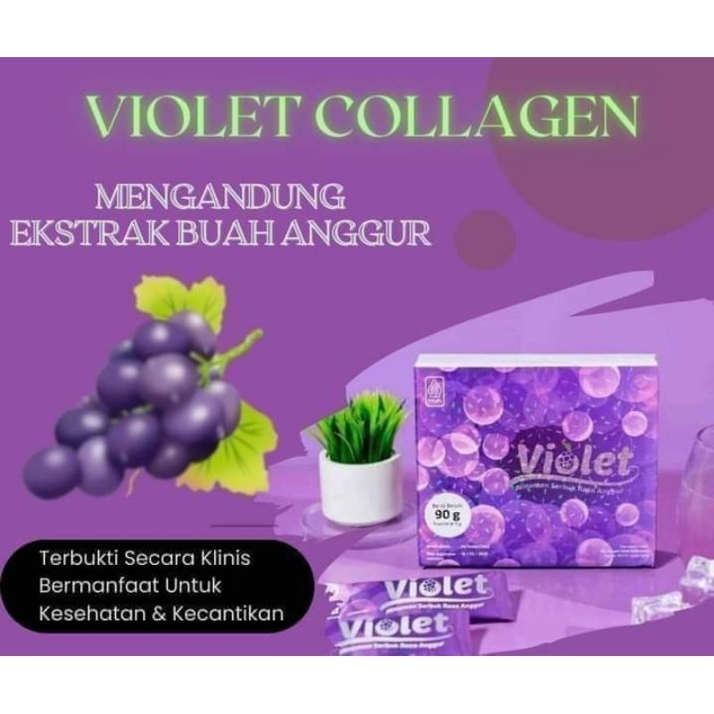 Jual Minuman Collagen Violet Basu 1box (6 sachet) | Shopee Indonesia
