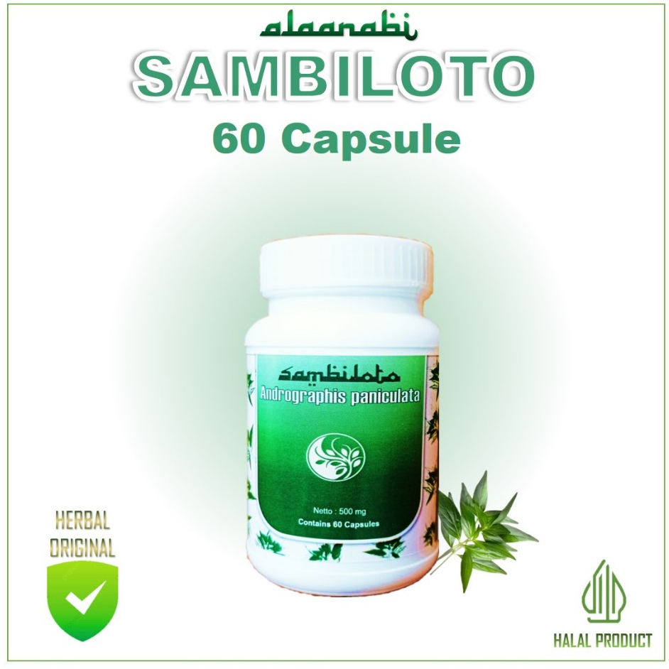 Jual Obat diabetes sambiloto herbal daun jamu gatal suplemen kesehatan ...