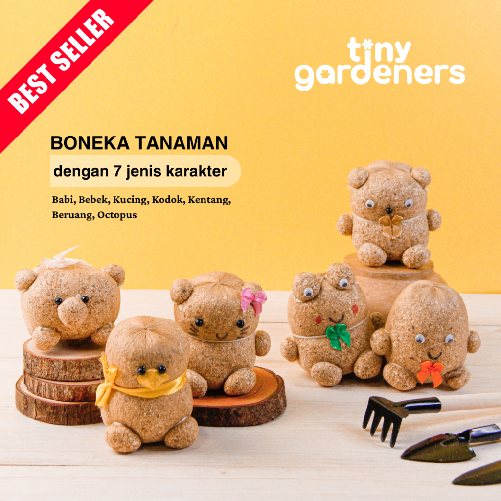Jual TINY GARDENERS Boneka Tanaman (Horta) / Boneka Tanaman Rumput ...