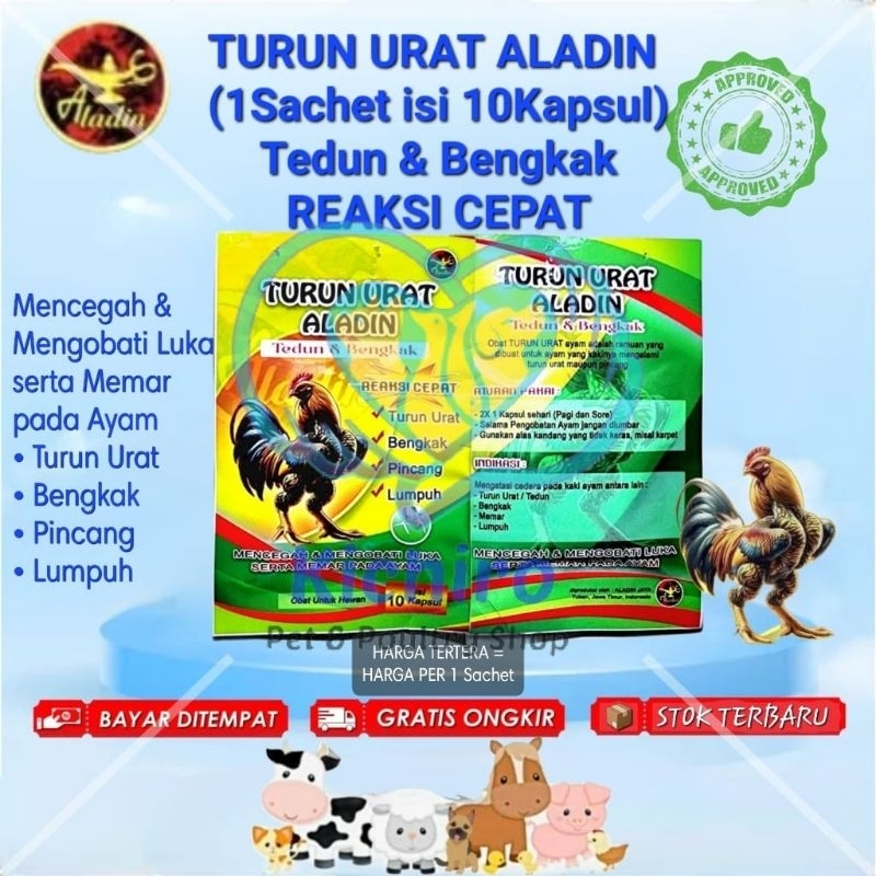Jual Turun Urat isi 10 Kapsul Aladin Tedun & Bengkak Mencegah Dan ...