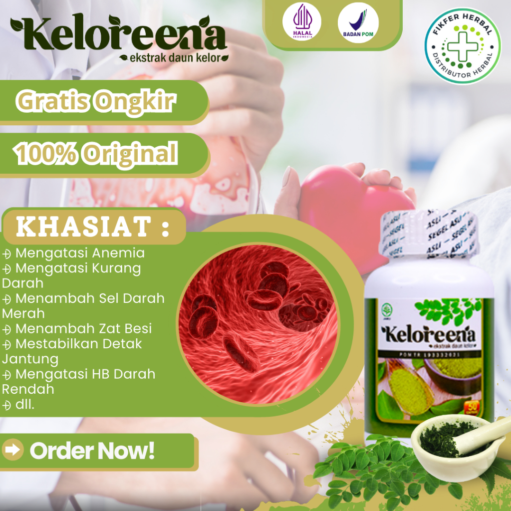 Jual Obat Anemia Kurang Darah, Obat Kekurangan Sel Darah Merah, Sel ...