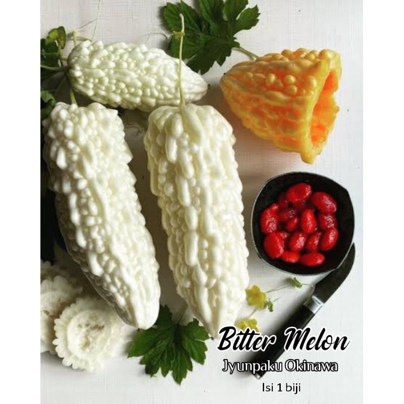 Jual Pare bitter melon jyunpaku okinawa benih heirloom seed | Shopee ...