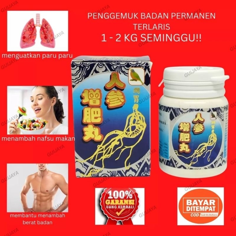Jual REN SHENG ZHEN FEI WAN GINSENG BIRU KIAN PI ORIGINAL | Shopee Indonesia