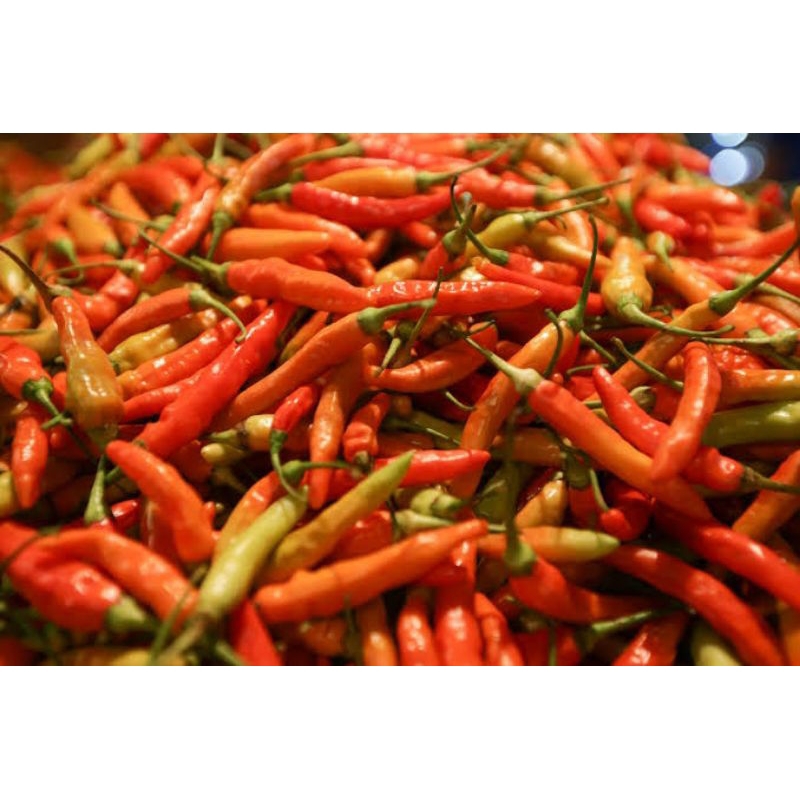 Jual Cabe Rawit Merah Fresh Segar 1 Kg cabai rawit | Shopee Indonesia