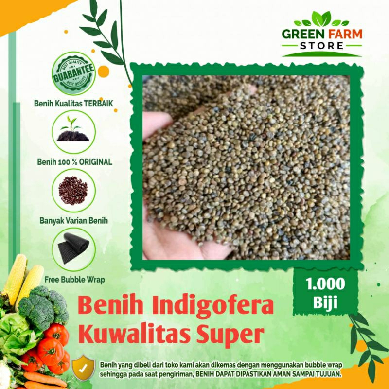 Jual Benih Indigofera Pakan Ternak Kualitas Super (1000 biji) | Shopee ...