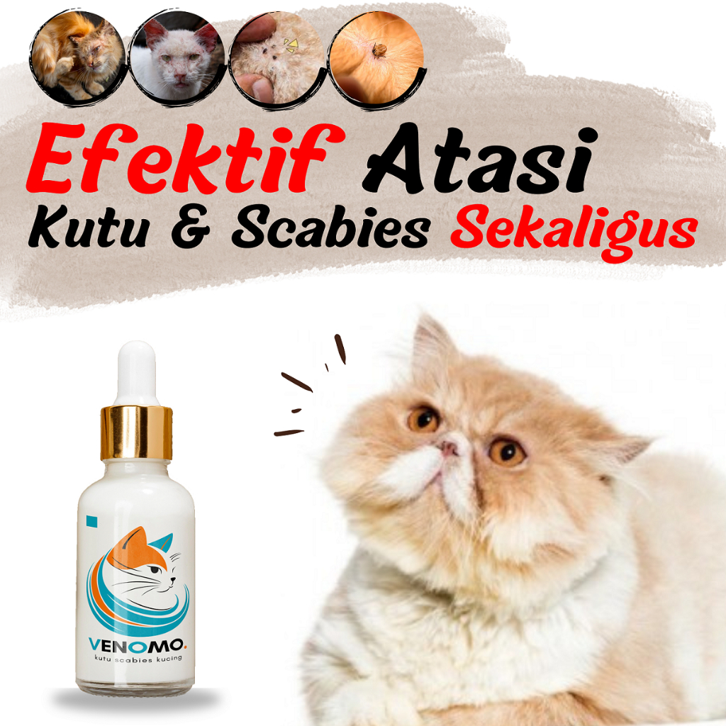 Jual Venomo - Paket lengkap obat kutu dan scabies kucing, atasi ...