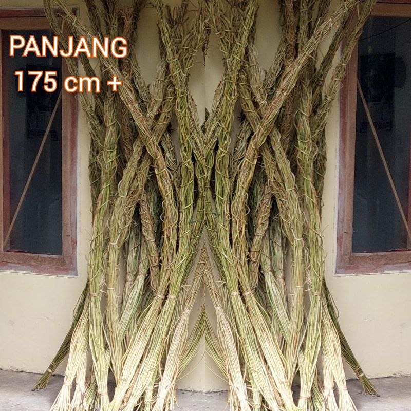 Jual Dekorasi Akar Manon, Hata, Ranting, Bunga Kering, Akar | Shopee ...