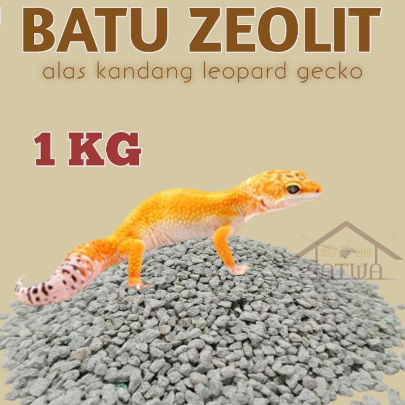 Jual BATU ZEOLIT ALAS KANDANG LEOPARD GECKO CORAL KERIKIL ALAS KANDANG ...