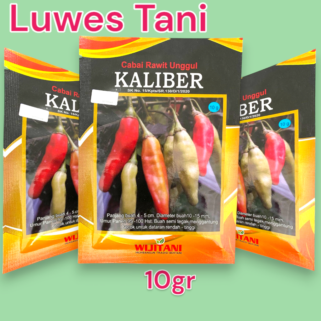 Jual Benih Cabe Rawit Kaliber cabai kaliber 10 Gr kemasan pabrik Asli ...