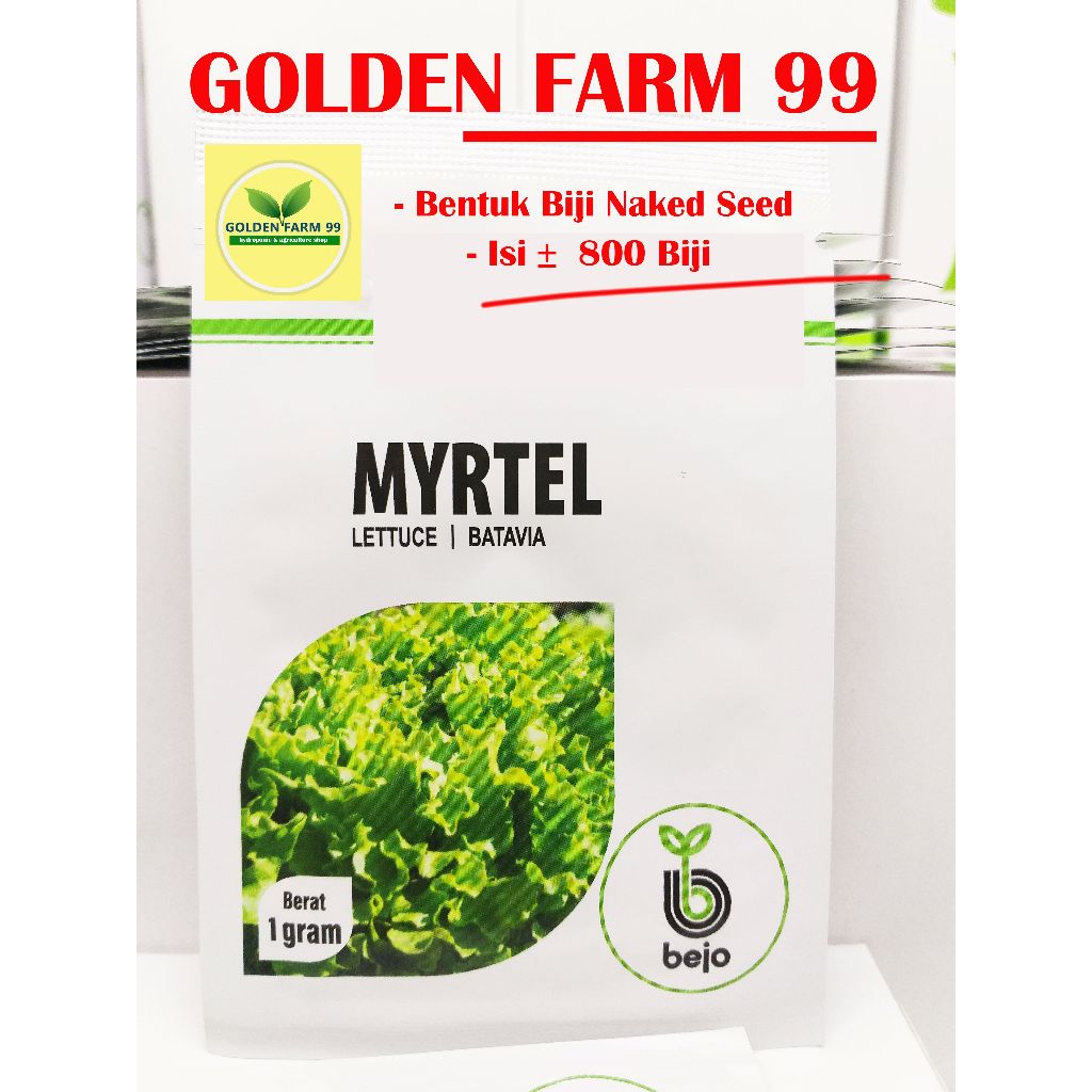 Jual Benih Selada Myrtel Bejo Seed - Import | Shopee Indonesia