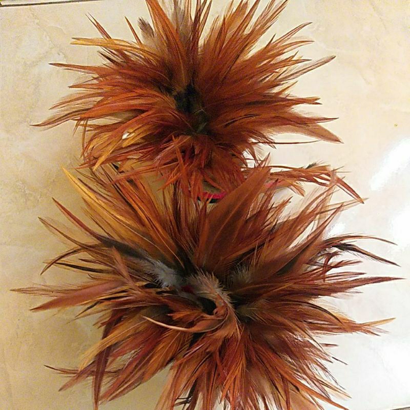 Jual rawis jago merah 1 meter | Shopee Indonesia