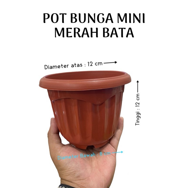 Jual Pot Bunga Merah Bata 15 cm JD / Pot Bunga Mini Plastik 15cm ...