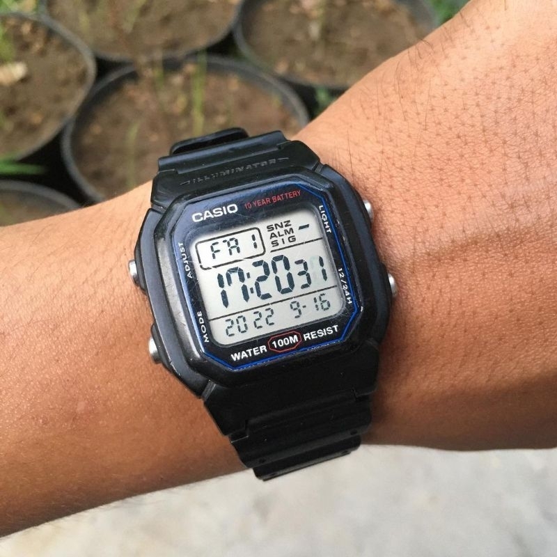 Jual Casio W-800H Original Secondhand | Shopee Indonesia